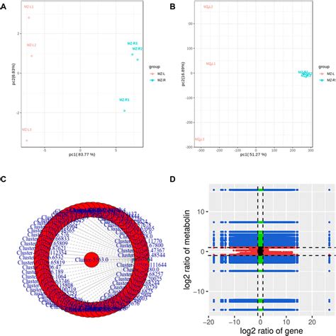 Frontiers Transcriptome And Metabolome Profiling Of The Medicinal