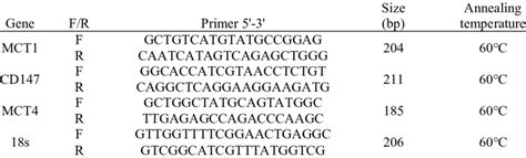 Primer Sequences Amplicon Sizes And Annealing Temperatures For Qpcr