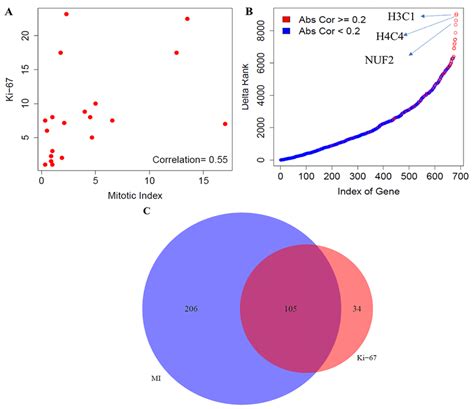 Comparative Analysis Between Mitotic Index And Ki 67 In Carcinoids A