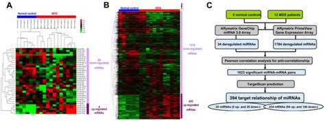 Identification Of Target Relationship Mirna Mrna Pairs A The