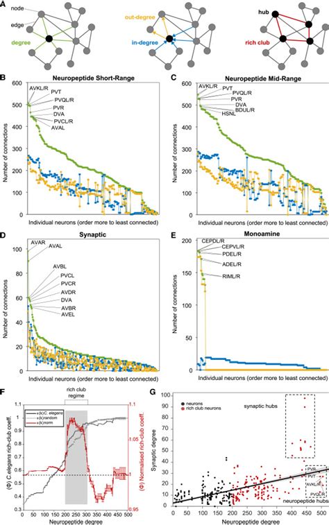 The Neuropeptidergic Connectome Of C Elegans Neuron