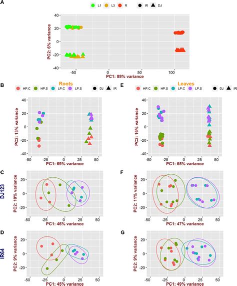 Principal Component Analysis Of The Rna Seq Results Download
