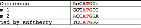Difference Between Conserved And Consensus Sequence Compare The