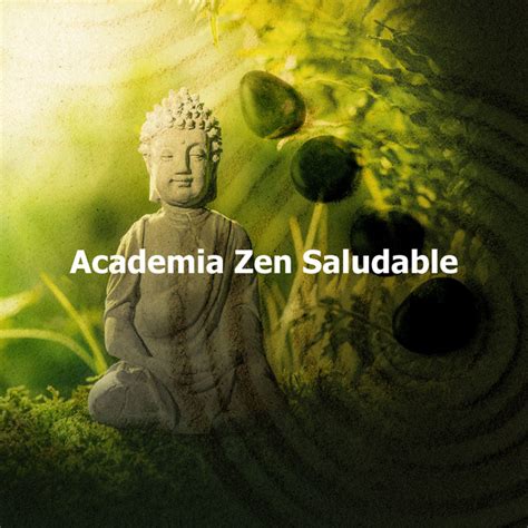 Academia Zen Saludable Album By Relajante Academia De Música Zen