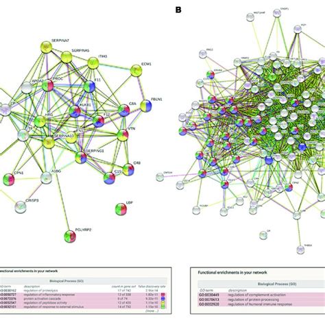 In Silico Functional Interaction Enrichement Network Analysis Of