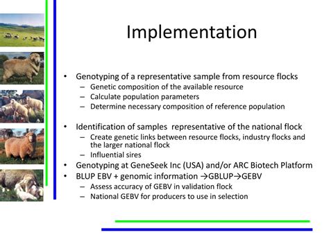 Ppt Towards Genomic Breeding Values For Sheep In South Africa