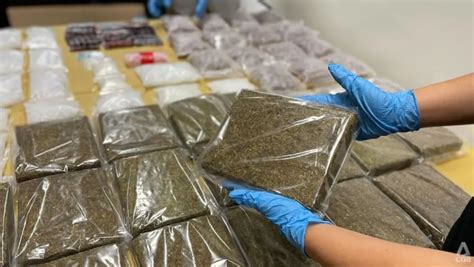 Cnb Rampas Dadah Bernilai S 1 7 Juta Termasuk Rampasan Terbesar Ganja