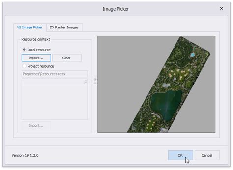 georeferenced image winforms controls devexpress documentation