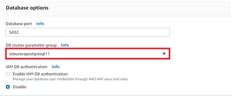 ssl connection to an amazon aurora postgresql database