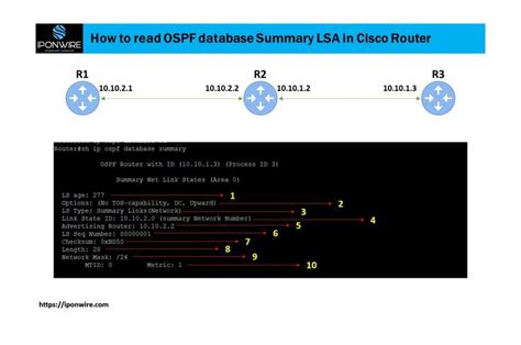 How To Read Ospf Database Summary Lsa In Cisco Router Ip On Wire In