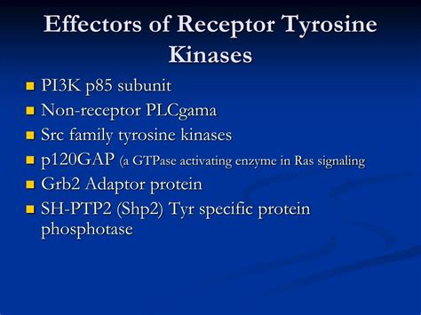 Ppt Role Of Hgf Cmet Signaling Pathway In Nsclc Powerpoint