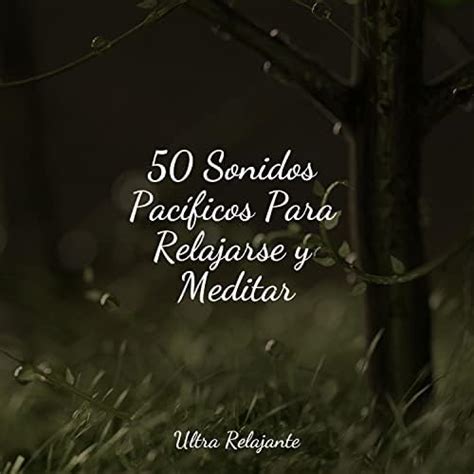 Amazon Musicでmeditación Relaxamento Sons Da Natureza Ruído Branco