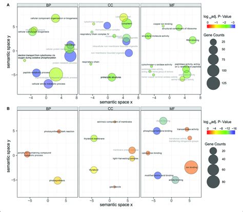 Gene Ontology Go Enrichment Analysis Of The Up Regulated A And