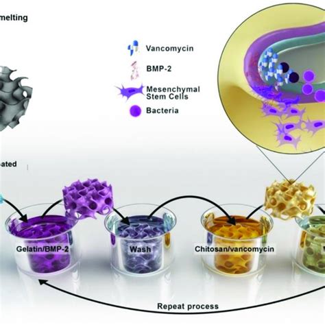 Pdf Surface Modification Of Biomedical Ti And Ti Alloys A Review On