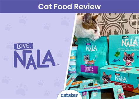 How To Switch Cat Foods Vet Approved Tips For Transitioning Your Cats
