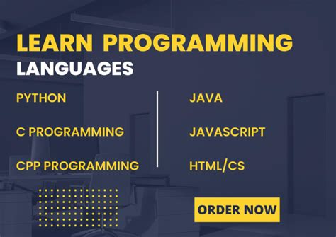 teach python java c cpp programming by shyzii101 fiverr