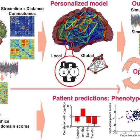 Covariance Of Biophysical Model Parameters With Cognition Outperforms
