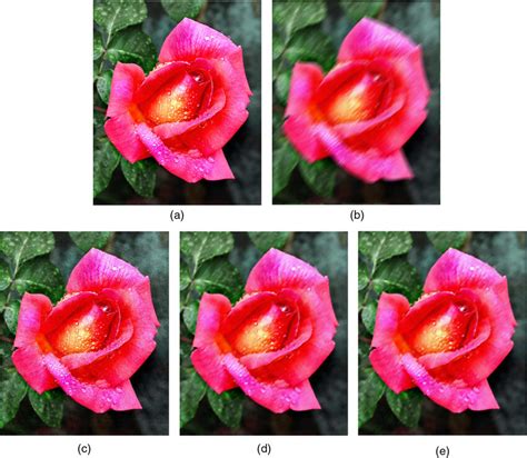 Comparison Of The Recovered Results Using Three Different Methods A