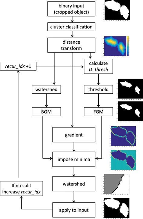 clustered nuclei splitting based on recurrent distance transform in