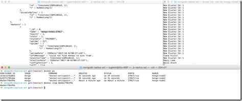 setting up a mongodb replica set with docker and
