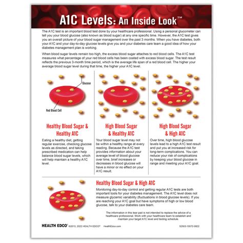 A1c Levels An Inside Look Model