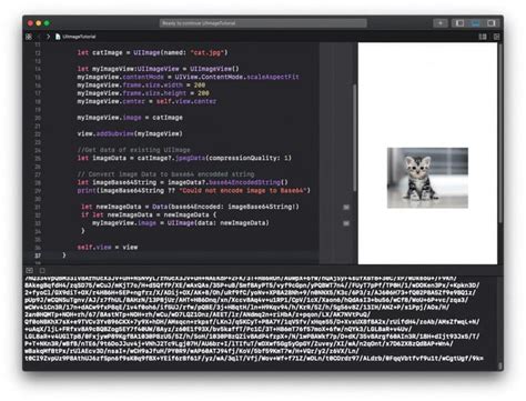 base64 image example texas 7