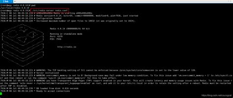 linux进阶二：应用服务化；（以将redis配置为系统服务为例）（其中包括大量【systemctl】系统命令） linux redis 配置
