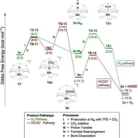 Scheme 5 Dft Calculated Energy Profile Starting From 4a − To Form H 2