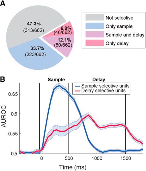 Neuronal Correlates Of Visual Working Memory In The Corvid Endbrain