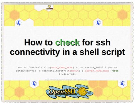 how to check for ssh connectivity in a shell script nixcraft