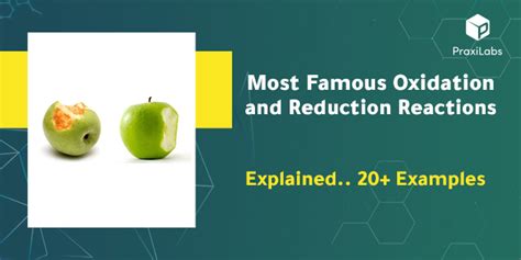 Oxidation And Reduction Reactions With Examples Praxilabs