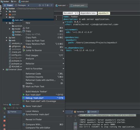 using the debugger aqueduct