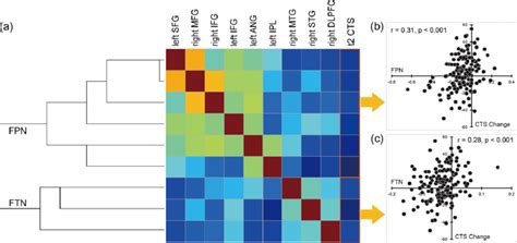 Heatmap Of The Correlation Matrix Between Significant Rois For