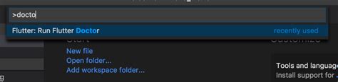 not show flutter run flutter doctor in vs code · issue 15107