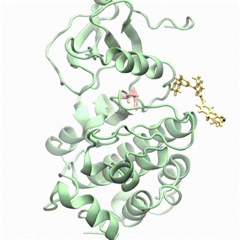 Publications Zheng Lab