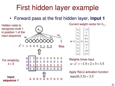 Interpreting Noncoding Variants Ppt Download