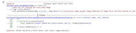 unable to create custom pytorch dataset class for npy image file