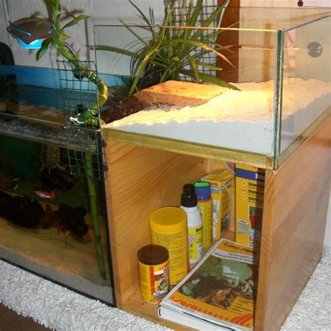 Above Tank Turtle Basking Platform Diy Sliders First Visit To Acrylic