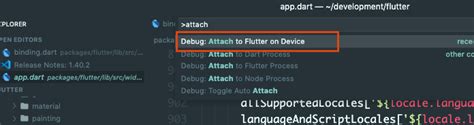 debugging your add to app module flutter