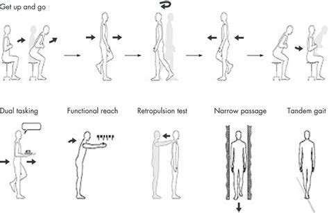 Useful Gait And Balance Tests Download Scientific Diagram