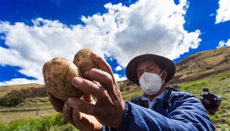 Bono Wanuchay De 350 Soles Cómo Saber Si Soy Beneficiario Y Hasta