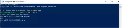 the most effective method to run linux on windows server 2019 with wsl