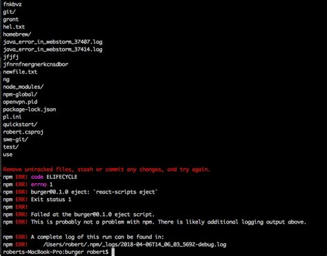 reactjs npm run eject error stack overflow
