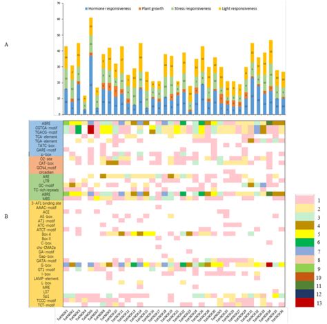 Analysis Cis Elements Of The Knox Genes In Wheat Note A Histograms Of