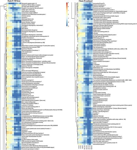 Down Regulated Gene Cluster B Expression Patterns In Regenerating P