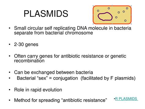 ppt restriction endonucleases cut at specific sites