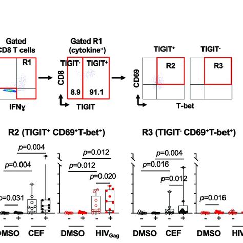 Enhanced Tigit Hiv Gag Specific Cd8 T Cell Function Is Driven By