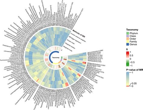 Frontiers Genetic Predisposition Of The Gastrointestinal Microbiome