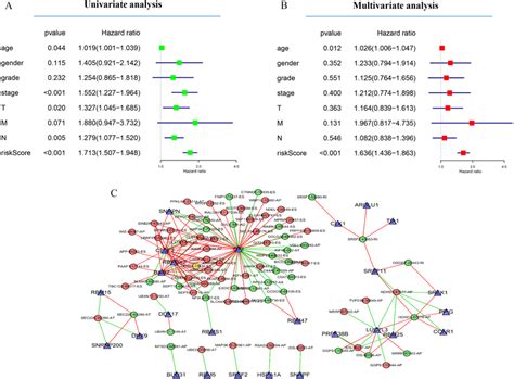 Network Of Survival Associated As Splicing Factors A Univariate Cox