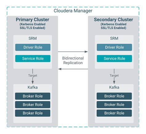 srm security example for a cluster environment managed by a single